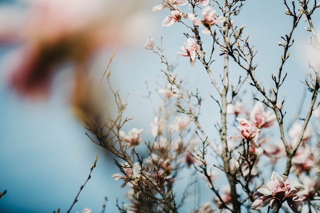 April Flowers Bring May Showers - I'm Mary Katherine